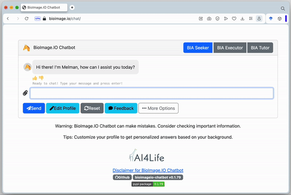 screenshot for the chatbot
