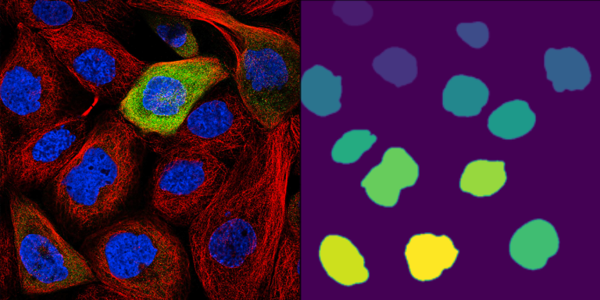 Bioimageio